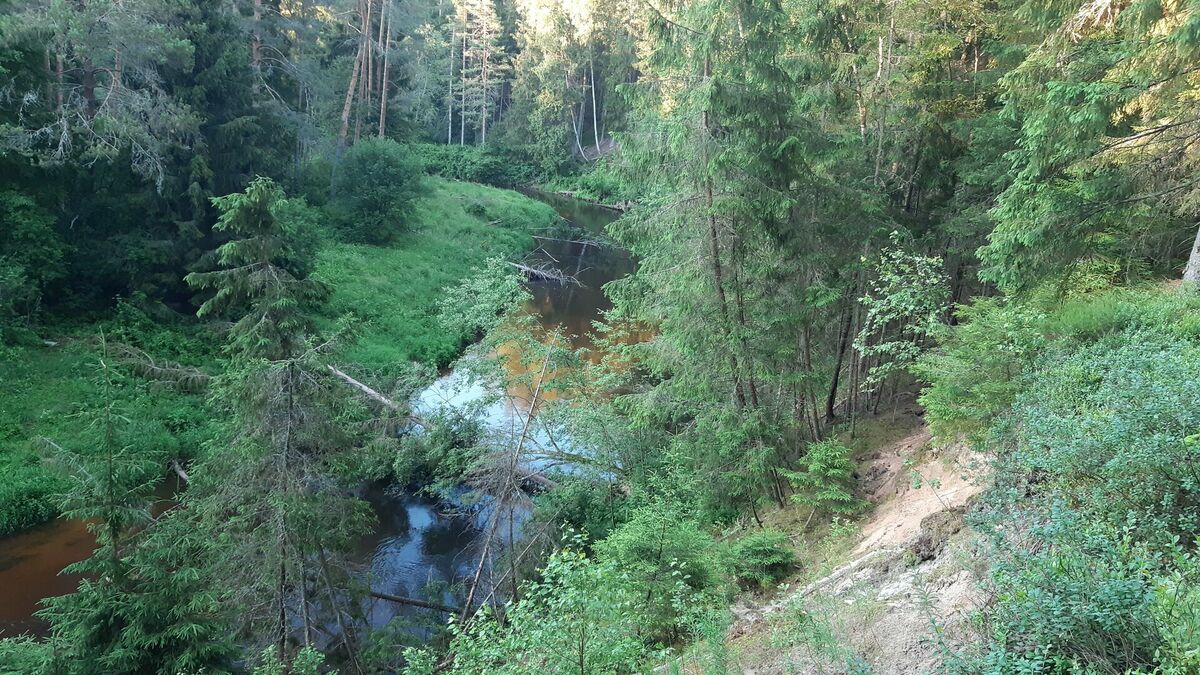 Mīlestības taka pastaigai gar Abula upi