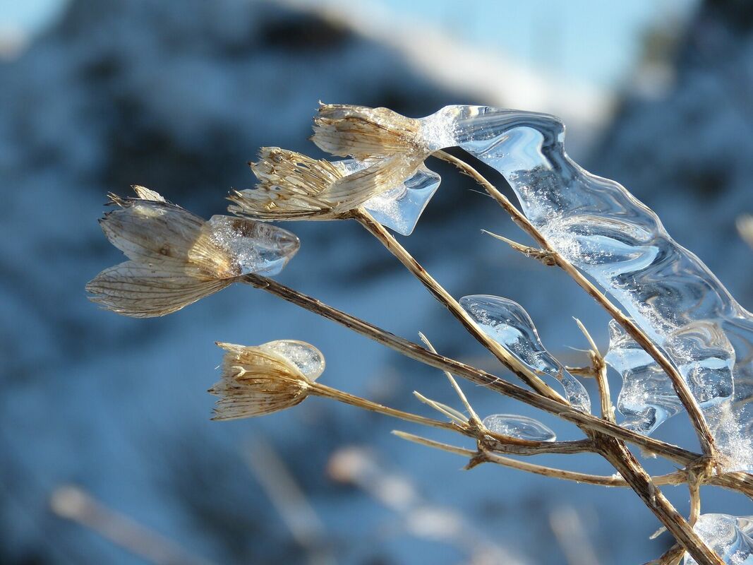 Ilgstoša snigšana, atkala un stiprs putenis. Kā iesāksies nākamā nedēļa?