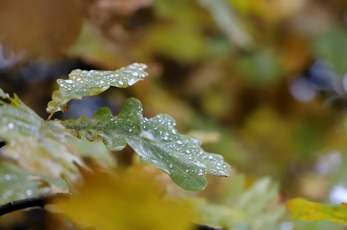 Otrdien līs tikai vietām